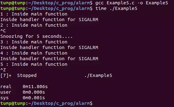 C dilinde SIGALRM ve alarm fonksiyonu nasıl kullanılır? 9577_5