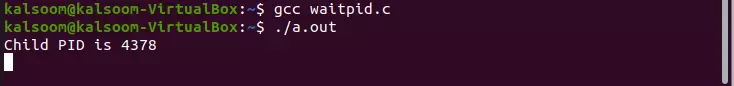 C の Waitpid Syscall 9596_9