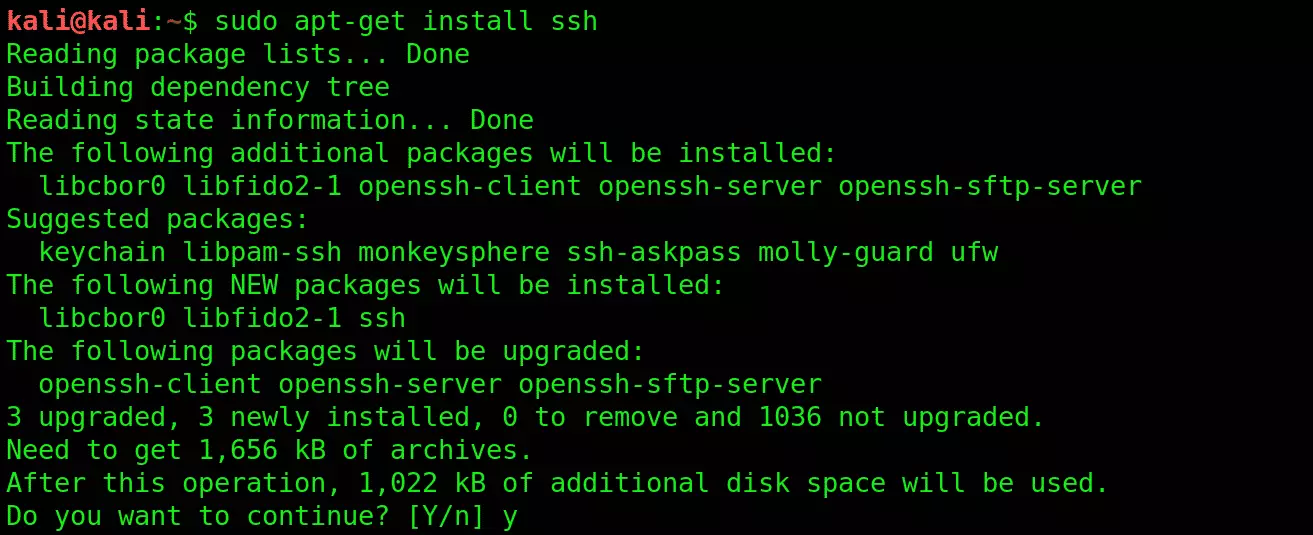Kuidas lubada SSH Kali Linuxis 9703_1