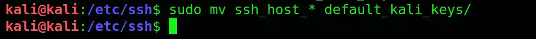 Kuidas lubada SSH Kali Linuxis 9703_11