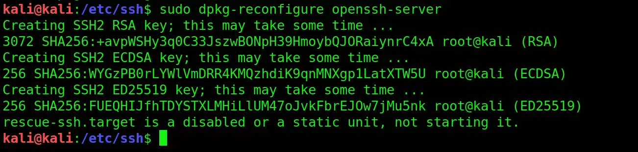 Kuidas lubada SSH Kali Linuxis 9703_12
