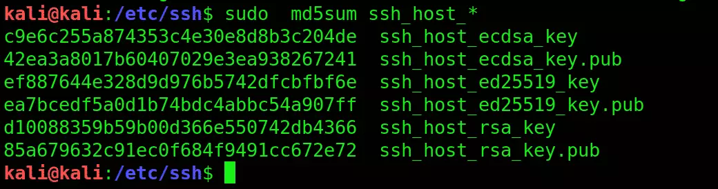 Kuidas lubada SSH Kali Linuxis 9703_13