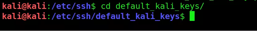 Kuidas lubada SSH Kali Linuxis 9703_14