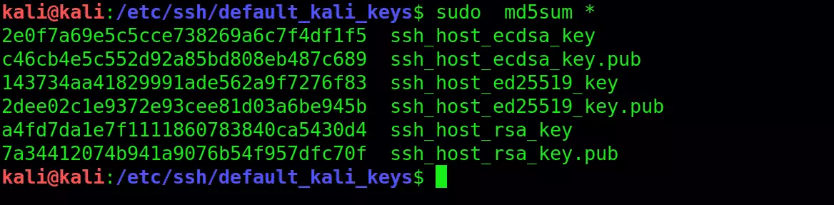 Kuidas lubada SSH Kali Linuxis 9703_15