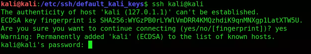 Kuidas lubada SSH Kali Linuxis 9703_17
