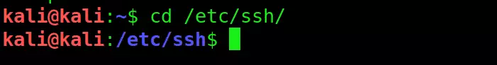Kuidas lubada SSH Kali Linuxis 9703_9