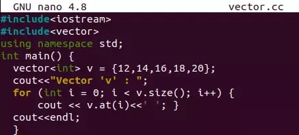 C++లో వెక్టర్ను ఎలా ప్రింట్ చేయాలి 9783_2