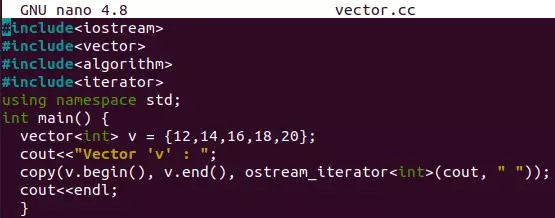 Jak vytisknout vektor v C++ 9783_8