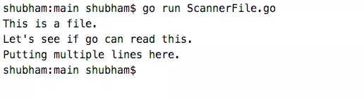 Golang Scanner Package 9824_4