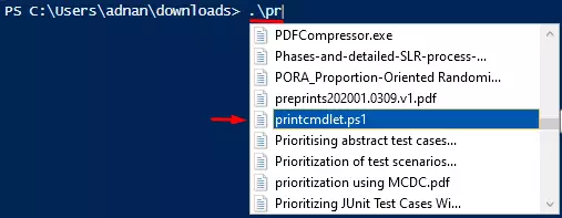 Giunsa Paggamit ang Echo Command sa PowerShell 9853_3