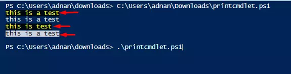 Otu esi eji Echo Command na PowerShell 9853_4