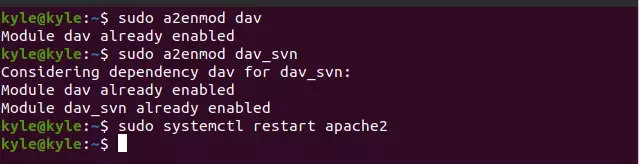 Kuidas installida Apache Subversion Ubuntule 9_7